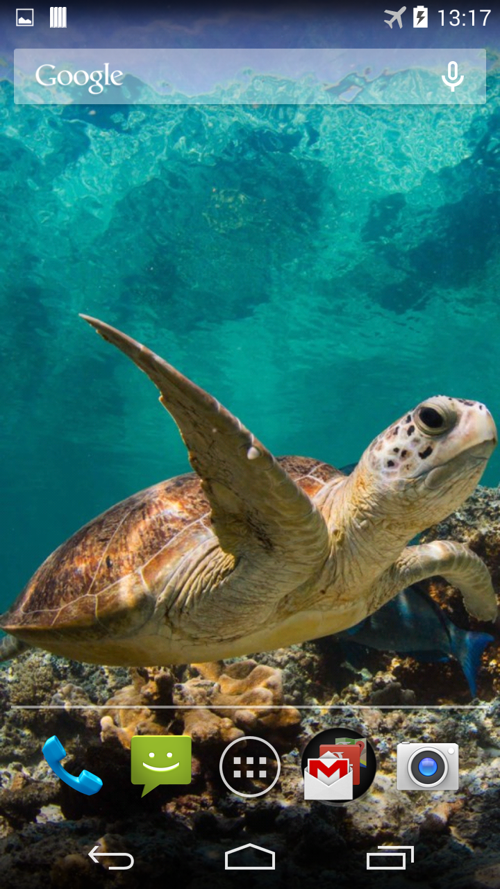 Sea Turtle Live Wallpaper - App on the Amazon Appstore