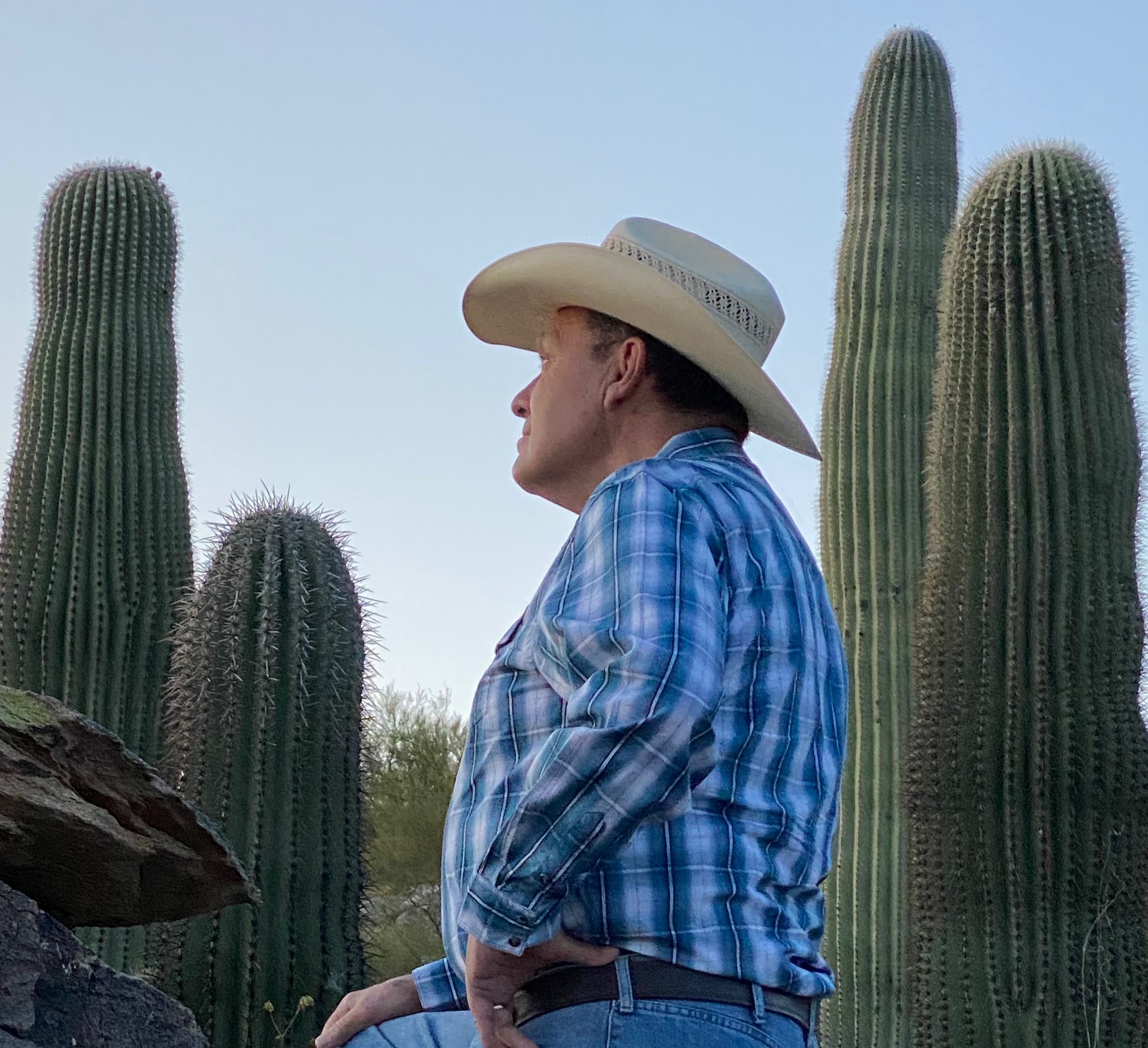 Nash Cline: A Western - Kindle edition by Lane, R. O.. Literature ...