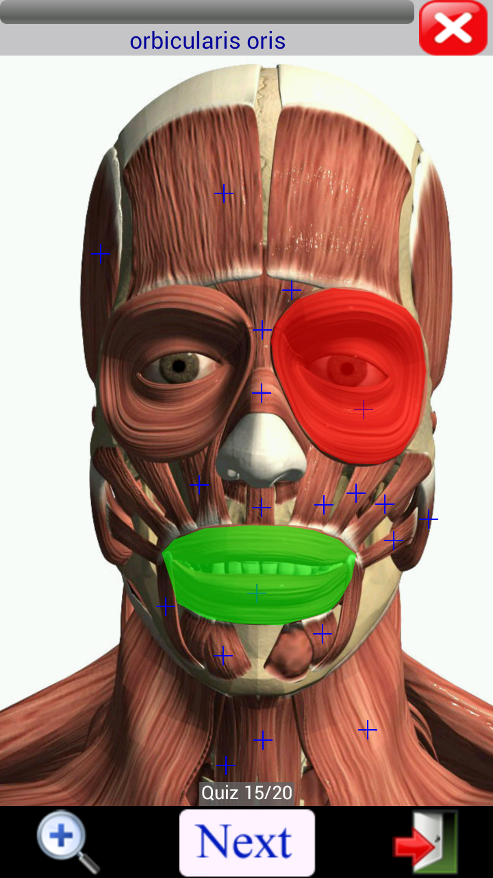 Visual Muscles 3D - App on Amazon Appstore