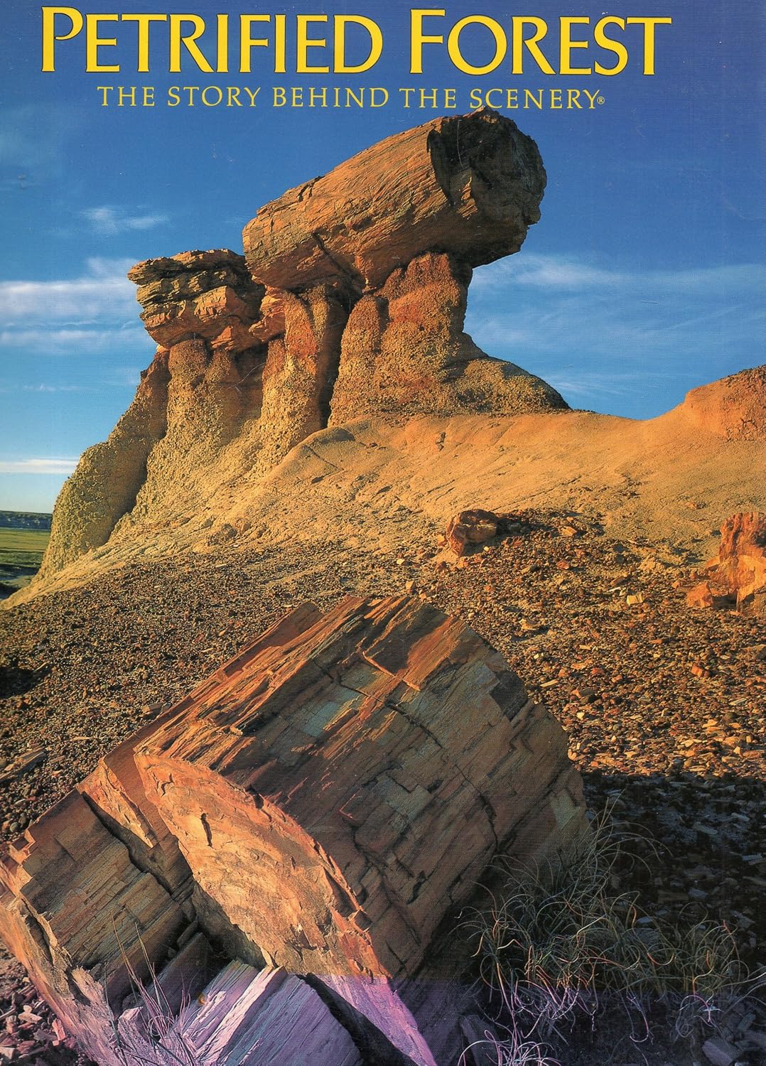 Petrified Forest, the Story Behind the Scenery, Revised Edtion: unknown ...