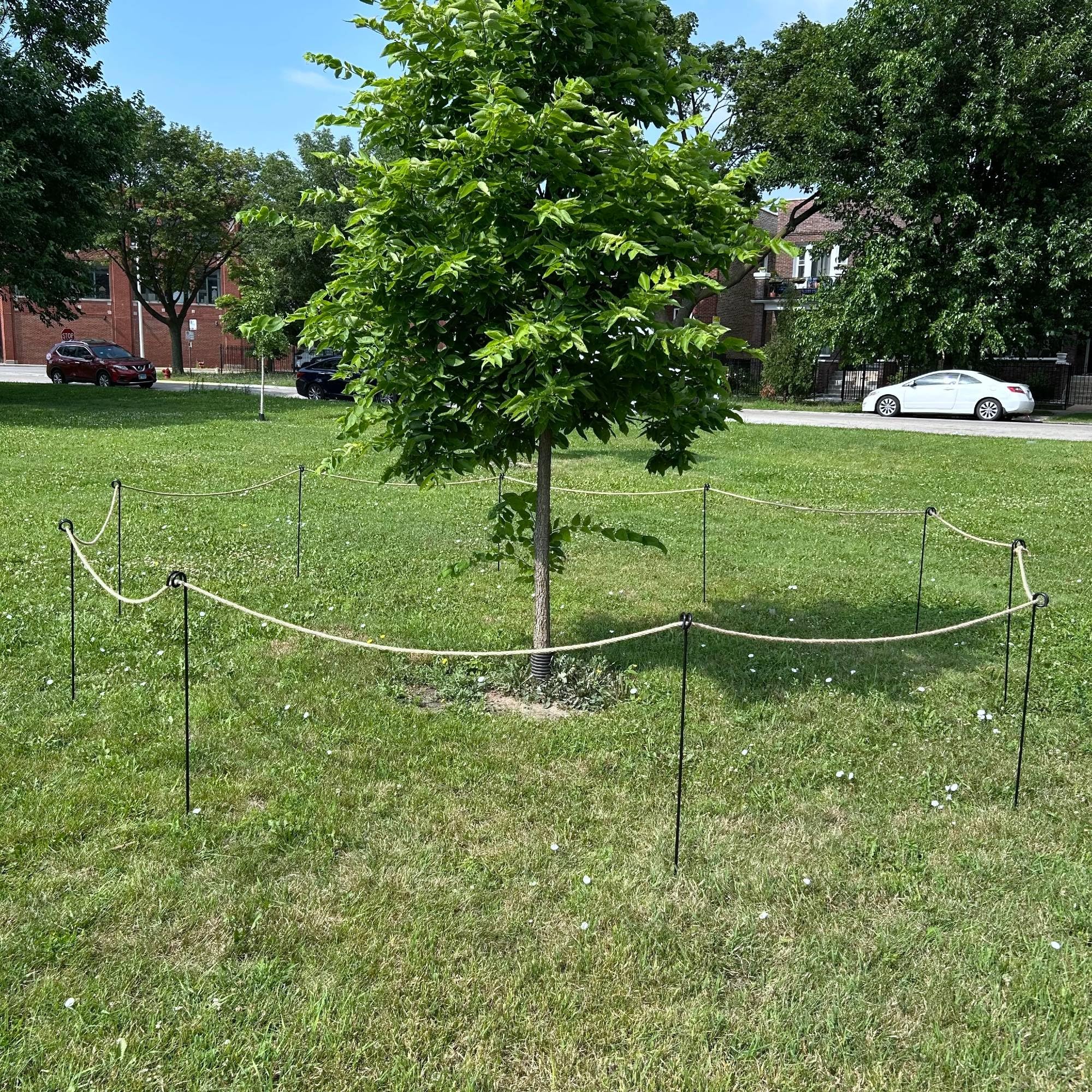 Snapklik.com : 42" Inch, Single Rope Poles/Stakes For Creating A Rope ...