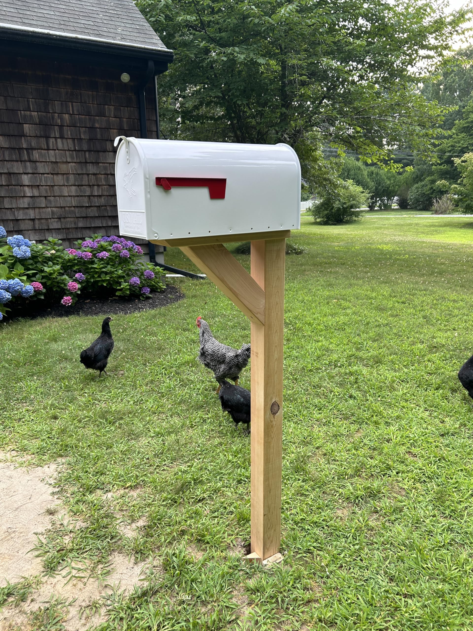 Amazon.com: Premum Cedar Mailbox Post with Solid Wood 24 inch Base for ...