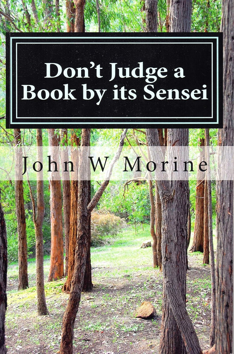 Don't Judge a Book by its Sensei: Martial Arts and Christianity ...