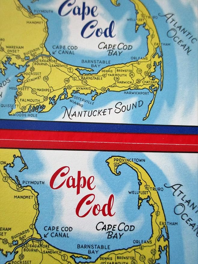 Amazon.com: Cape Cod Playing Cards ... 2 decks : Toys & Games