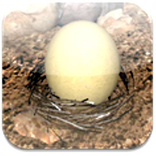 TAMAGO 3D - App on Amazon Appstore