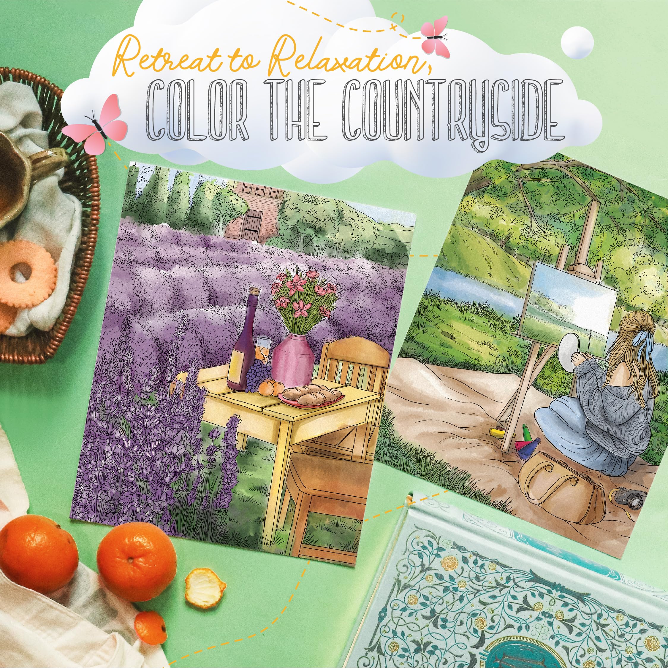 Snapklik.com : ColorIt Countryside: Colorful Cottages & Rural Retreats ...
