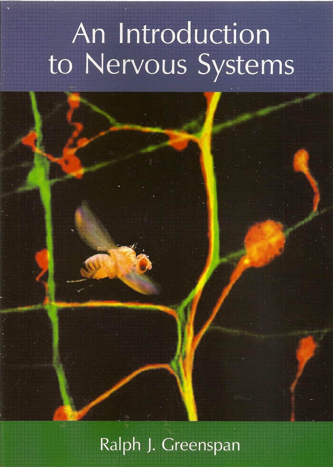 An Introduction to Nervous Systems (Textbook) : Ralph J. Greenspan ...