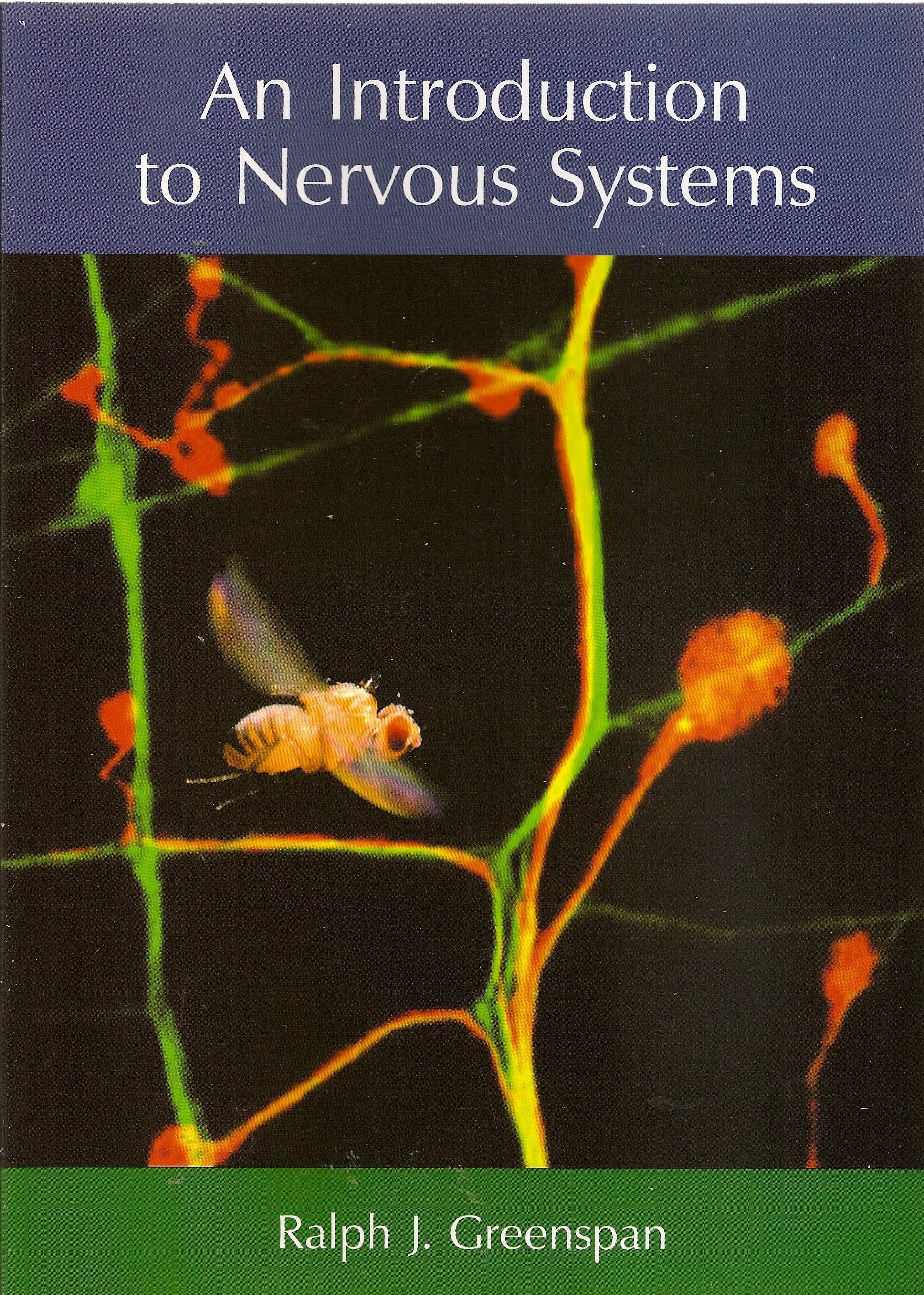 An Introduction to Nervous Systems: 9780879698218: Medicine & Health ...