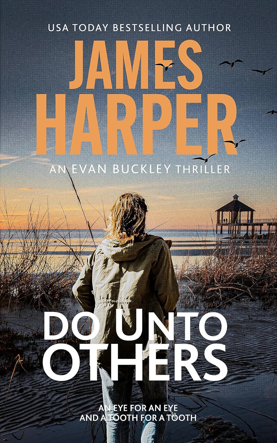Amazon.com: Do Unto Others: An Evan Buckley Crime Thriller (Evan Buckley Thrillers Book 20 ...