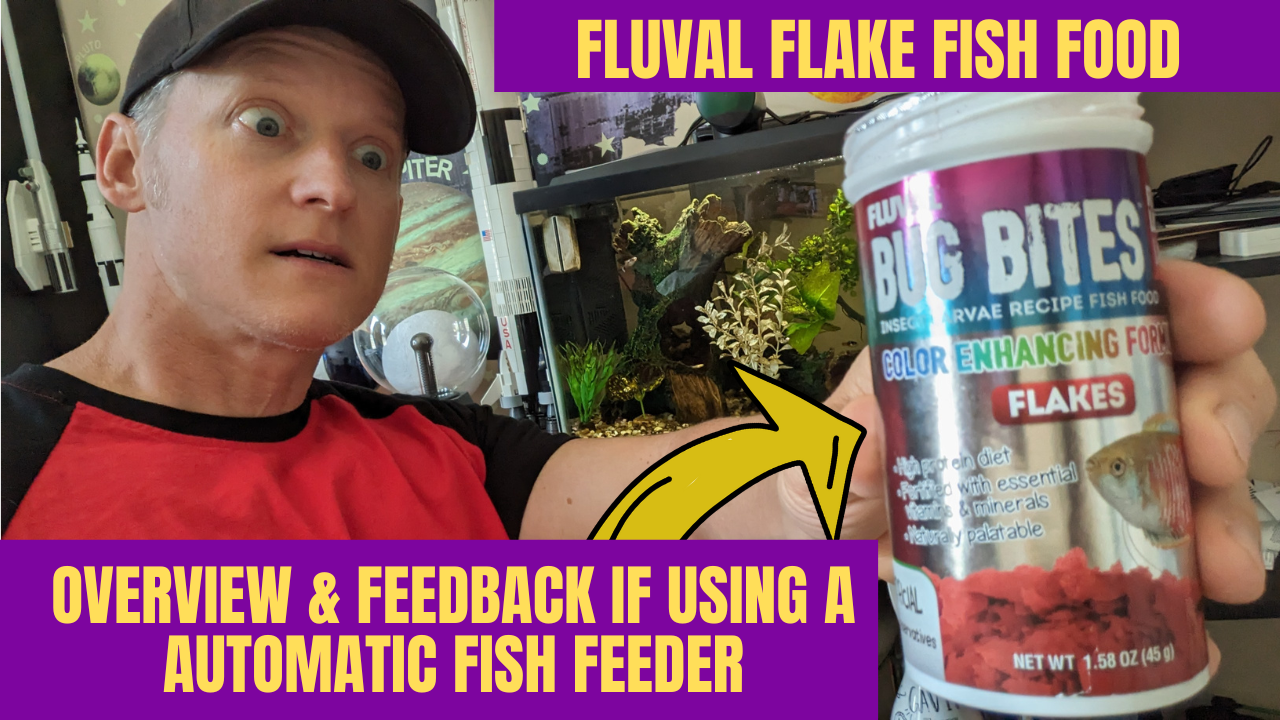 Watch Fluval Fish Food Flakes & A How To Use With Automatic Feeder on ...