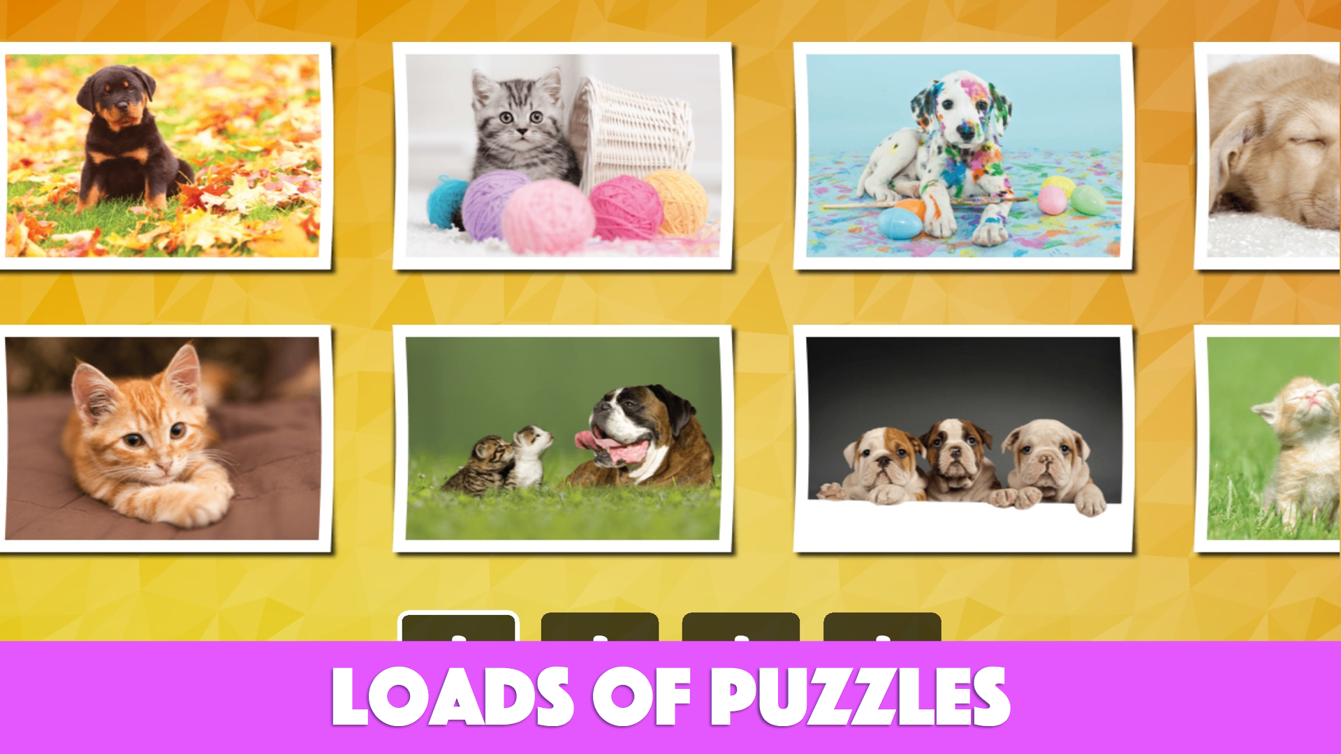 Fun Cats & Dogs Jigsaw Puzzles for kids and toddlers - Free Edition ...