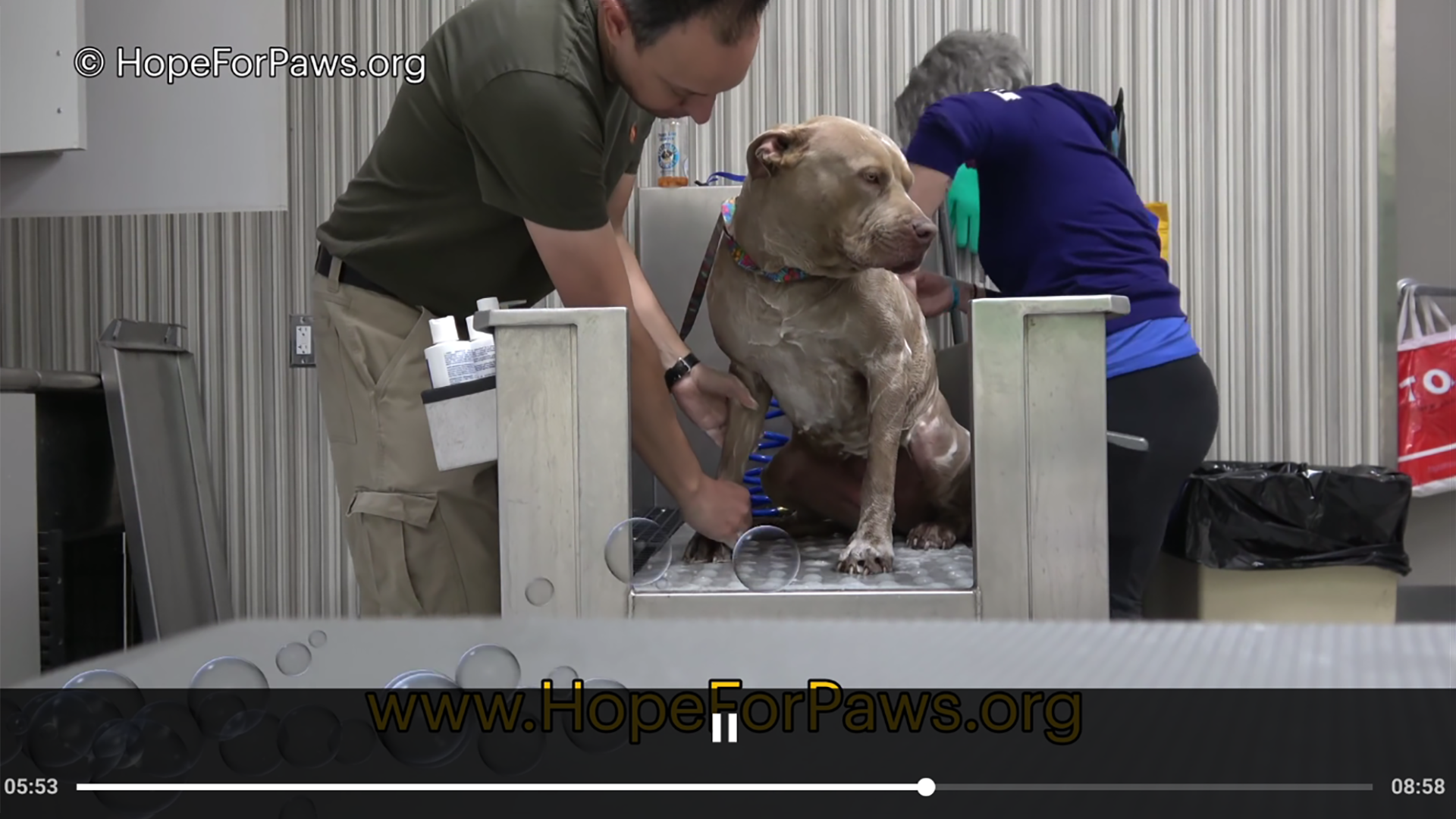 The Rescue Channel - App on Amazon Appstore