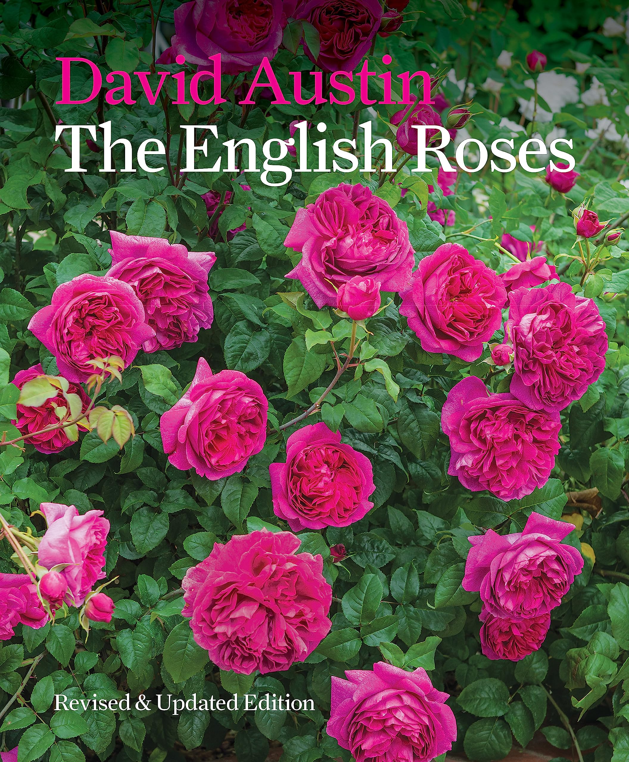 The English Roses: Austin, David: 9781840917512: Amazon.com: Books