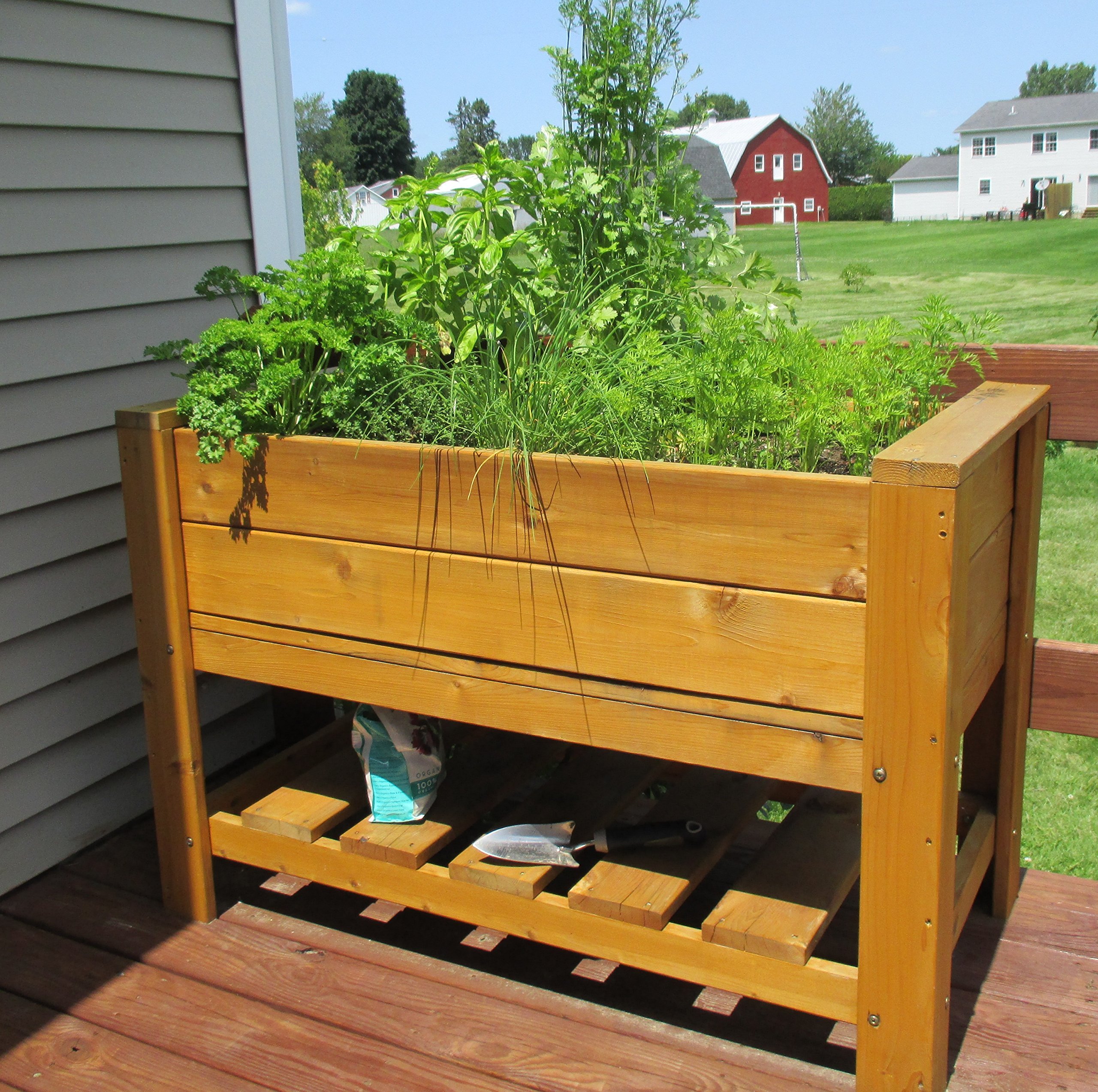 Amazon.com : Infinite Cedar 48 in. Elevated Planter Box with Shelf ...