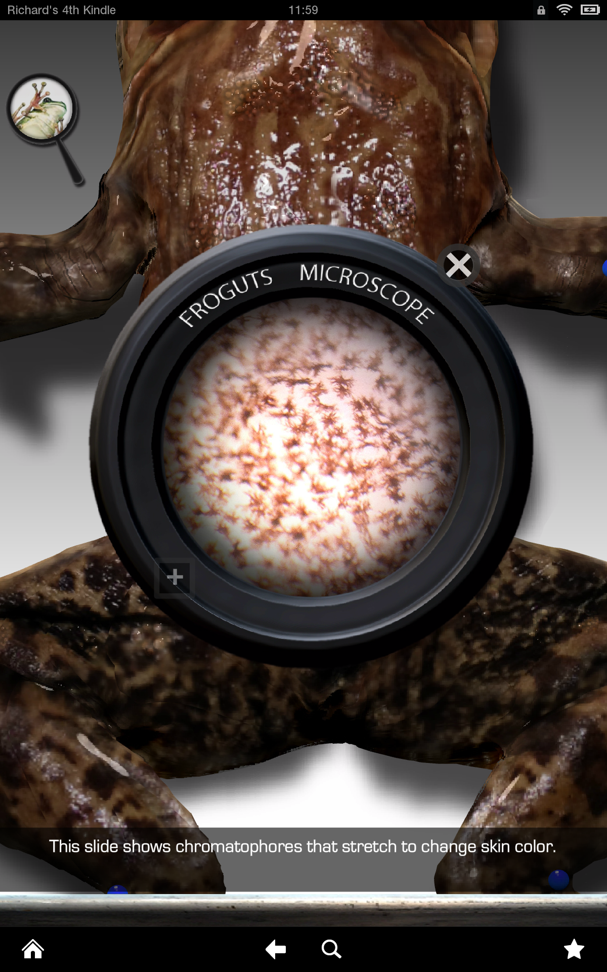 Froguts Frog Dissection (Kindle Fire HDX Tablet Edition):Amazon.ca ...