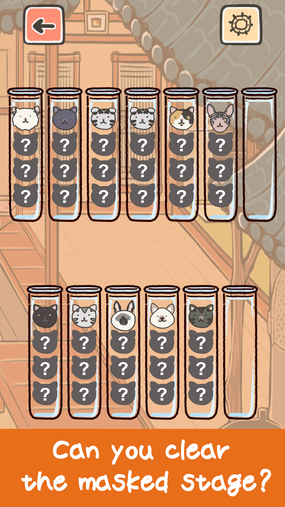 Cat Sort - Sort Puzzle Game - App on Amazon Appstore