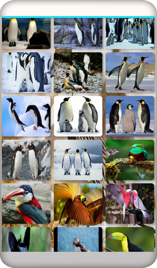 KHALFİYAT - App on Amazon Appstore