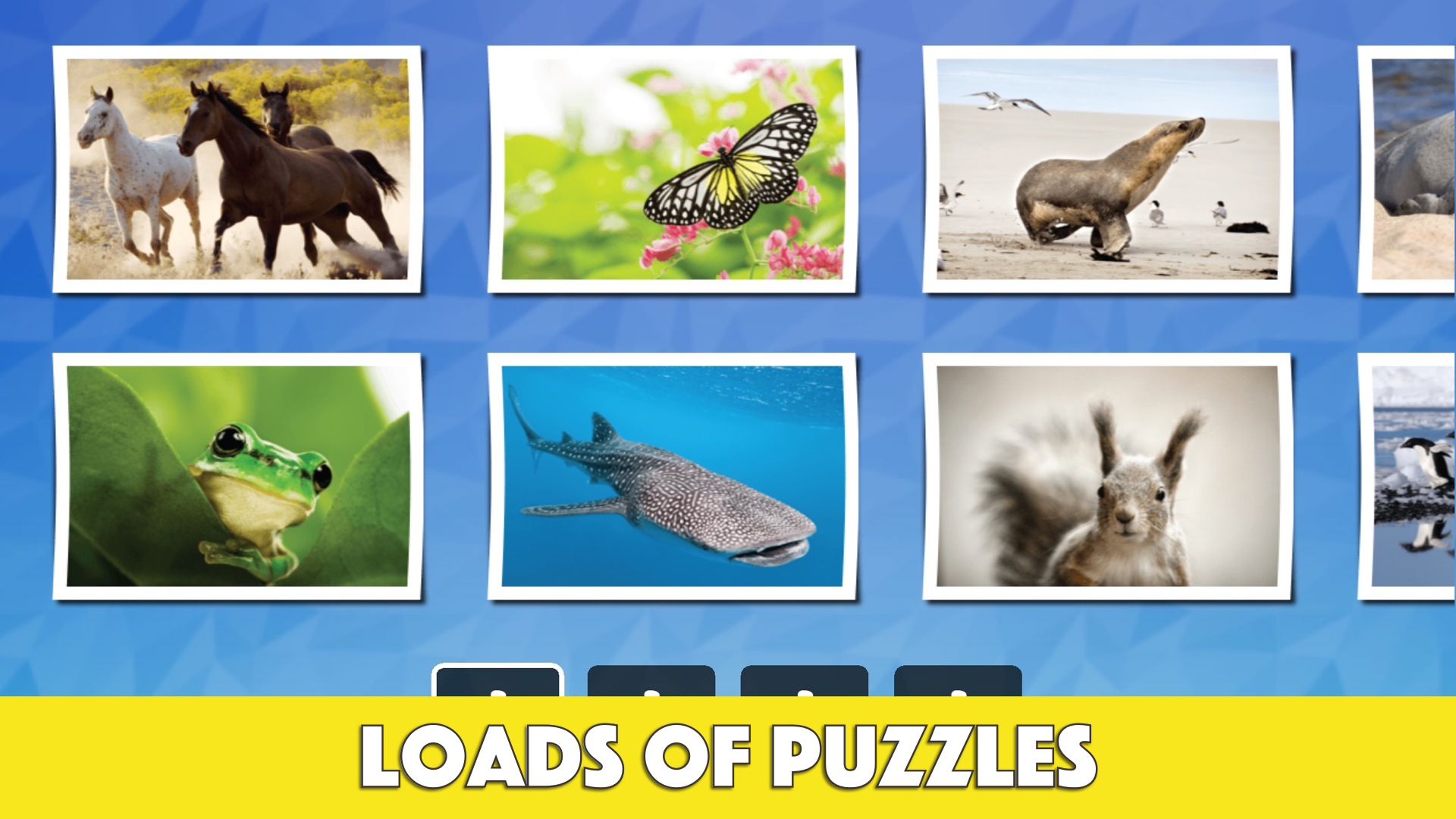Cute Animal Jigsaw Puzzle for kids and toddlers - Beautiful and ...