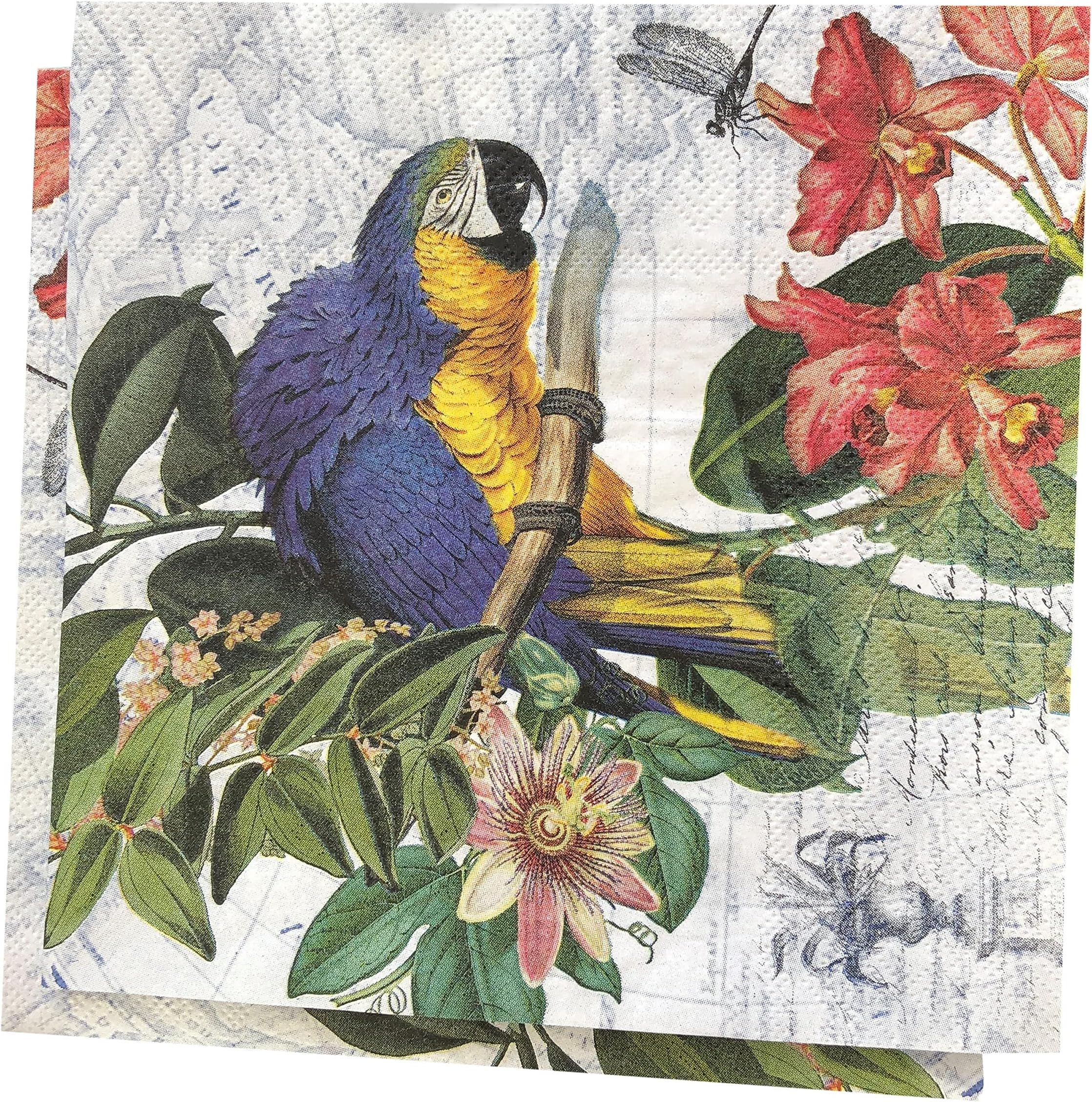 Amazon.com: 20-ct 6.5 Couple Bird Napkins for Decoupage Beautiful Bird ...