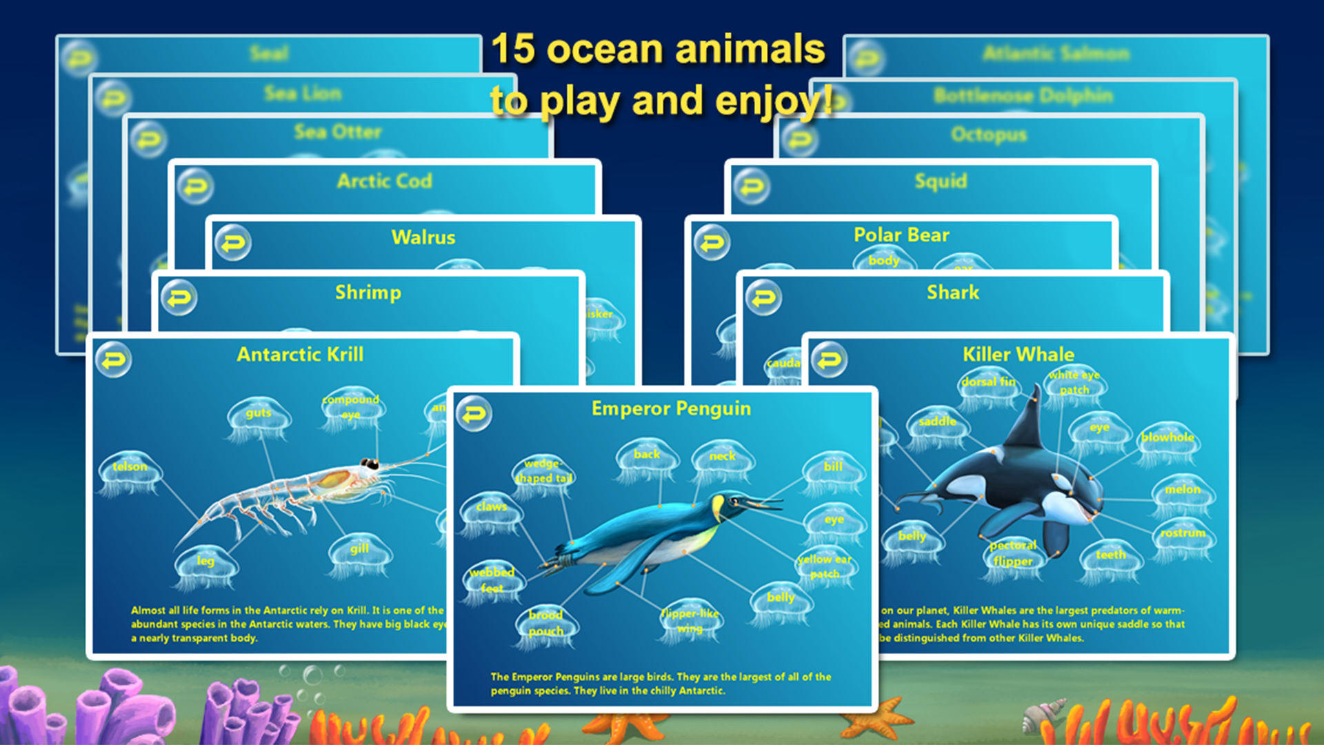 Amazing Ocean Animals- Educational Learning Apps for Kids Free - App on ...