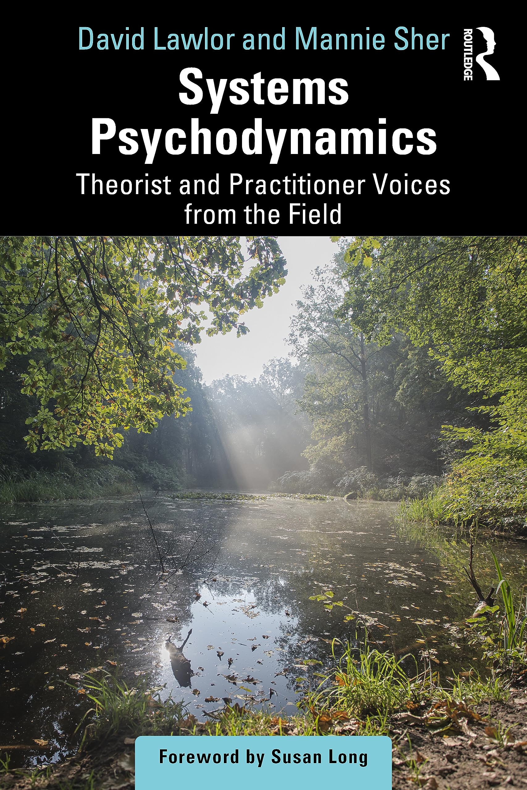 Amazon.com: Systems Psychodynamics: 9781032561844: Lawlor, David, Sher ...