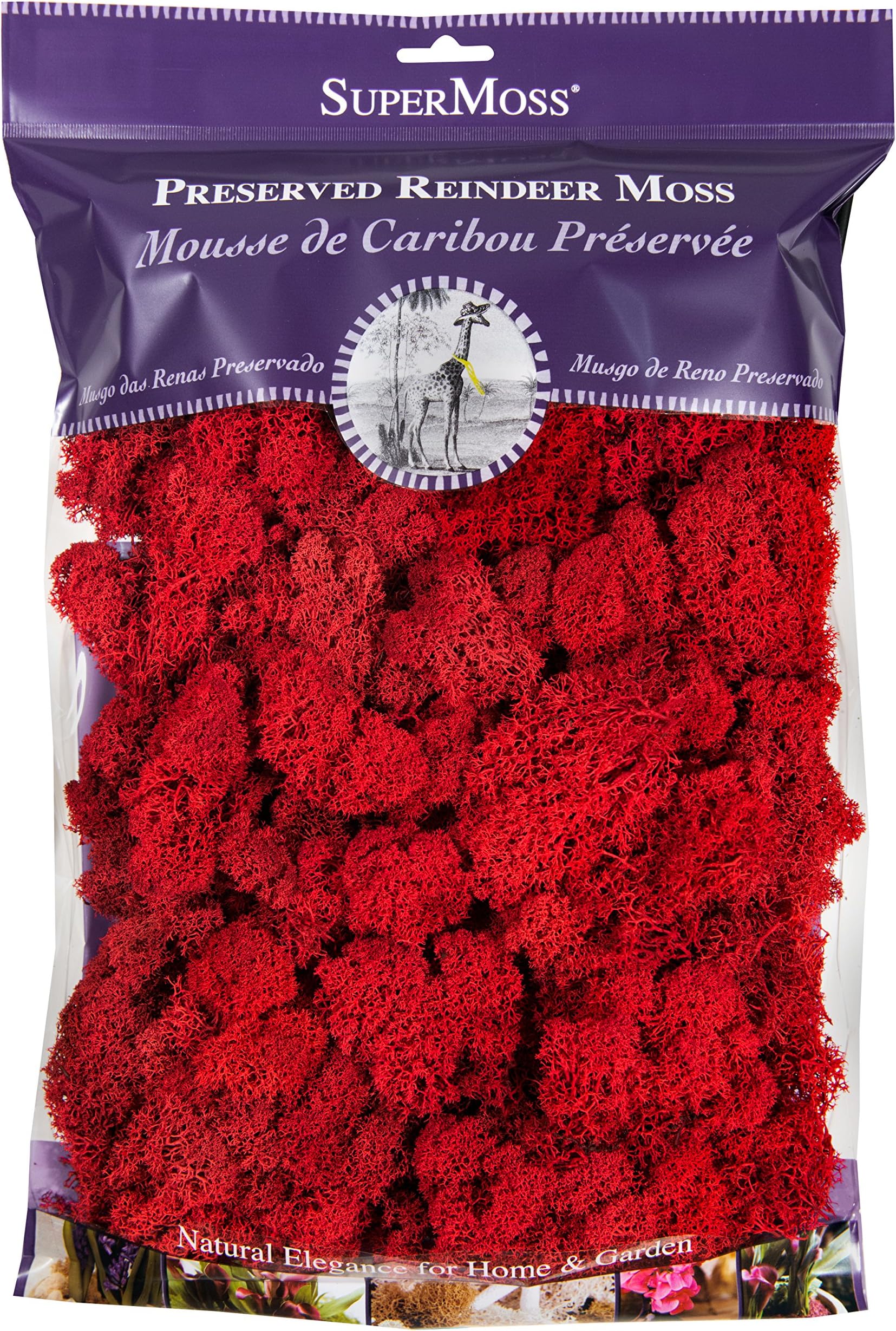 Amazon.com: SuperMoss (21588) Sheet Moss Preserved, Natural, 5 Pounds ...