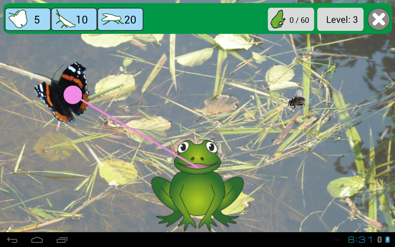 Frog for kids and adults free, insects, animals - App on Amazon Appstore