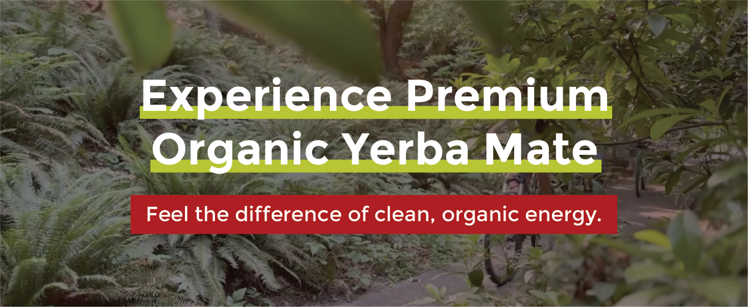 Peppermint Tea Ecoteas Holy Mate! Unsmoked Yerba Mate With Tulsi - 24 ...