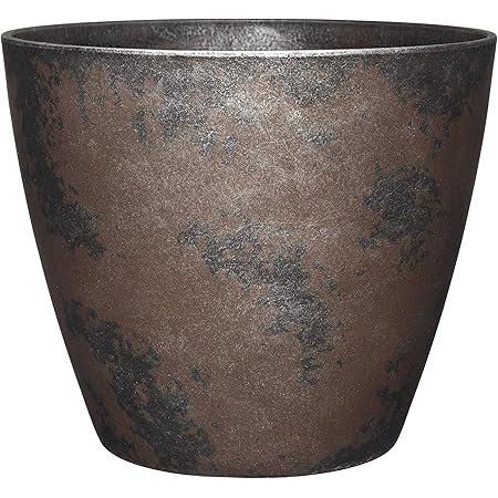 Amazon.com : Classic Home and Garden 3/806WC/1 Premiere Collection ...