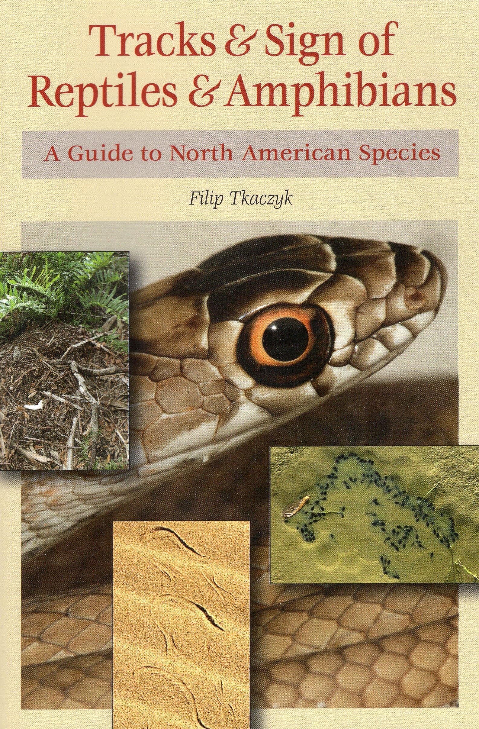 Amazon | Tracks & Sign of Reptiles & Amphibians: A Guide to North ...