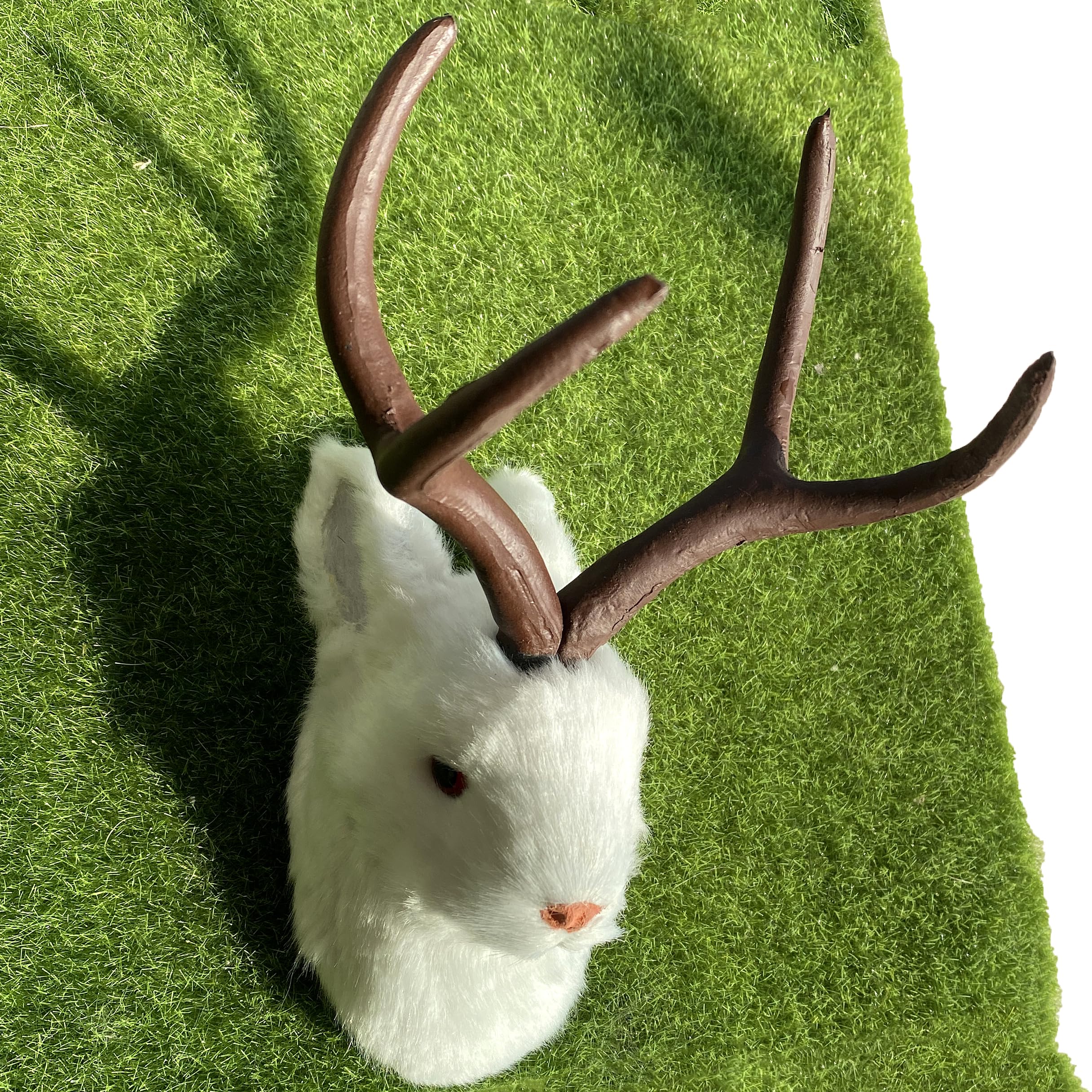 Amazon.com: Basuo-9Q Realistic Furry Jackalope Head Wall Mount ...