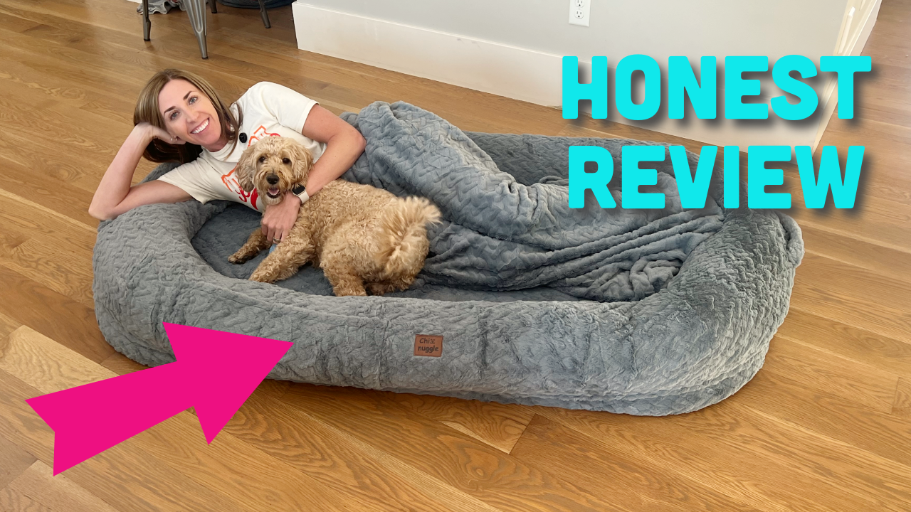 Watch Get all the details on this human dog bed! on Amazon Live
