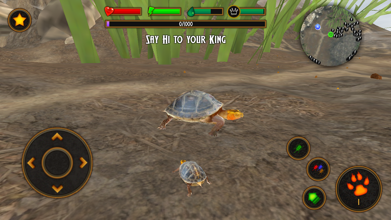 Box Turtle Simulator - App on the Amazon Appstore