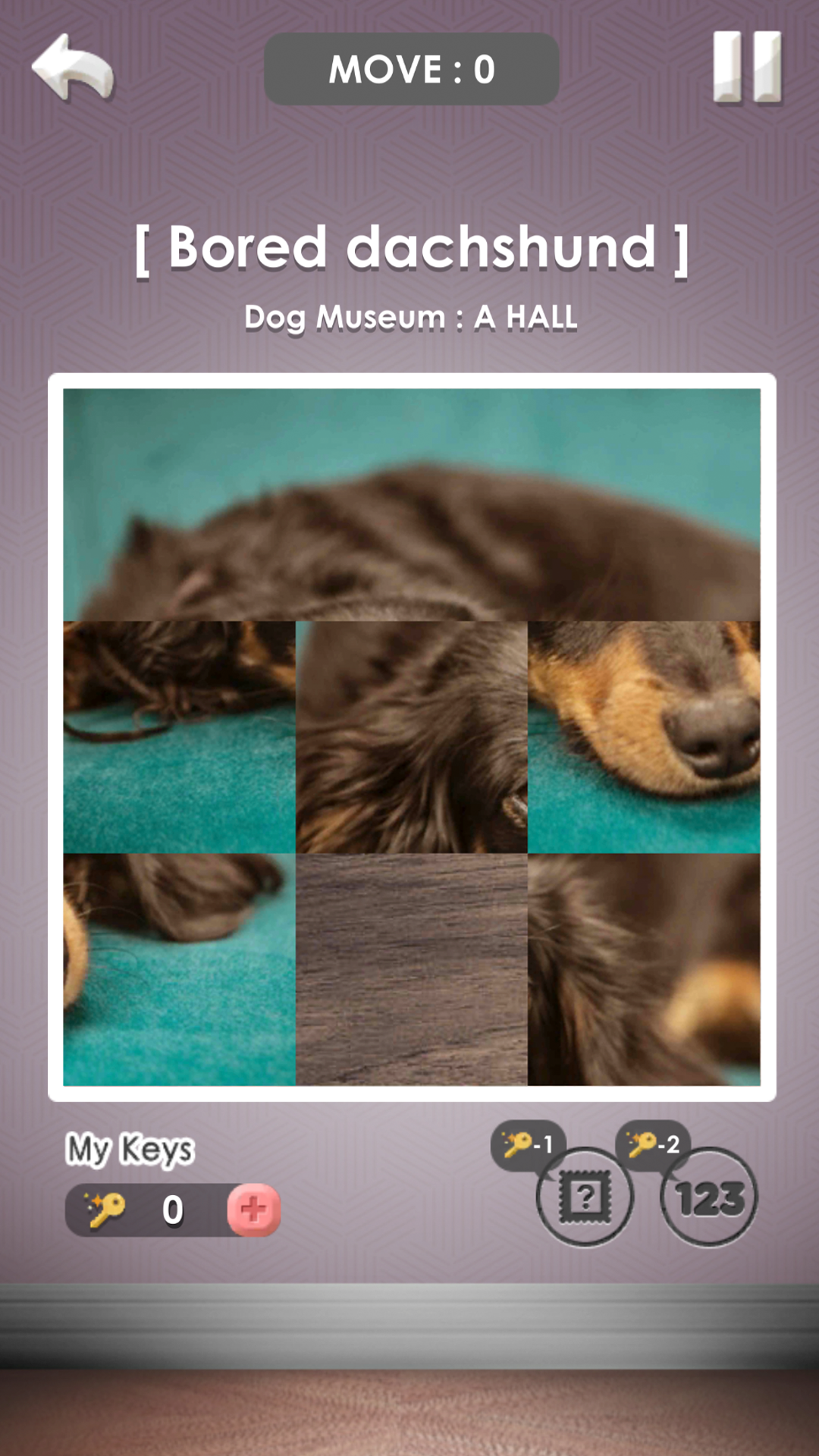 Sliding Puzzles Pro: Slide Match Solve Relax - App on Amazon Appstore