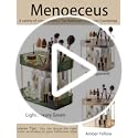 Amazon.com: Menoeceus Bathroom Organizer Countertop, 2-Tier Makeup ...