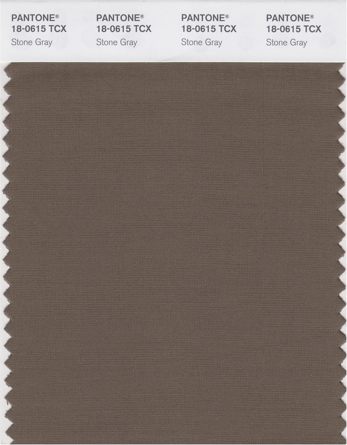 PANTONE Smart 18-0615X Color Swatch Card, Stone Gray - House Paint ...