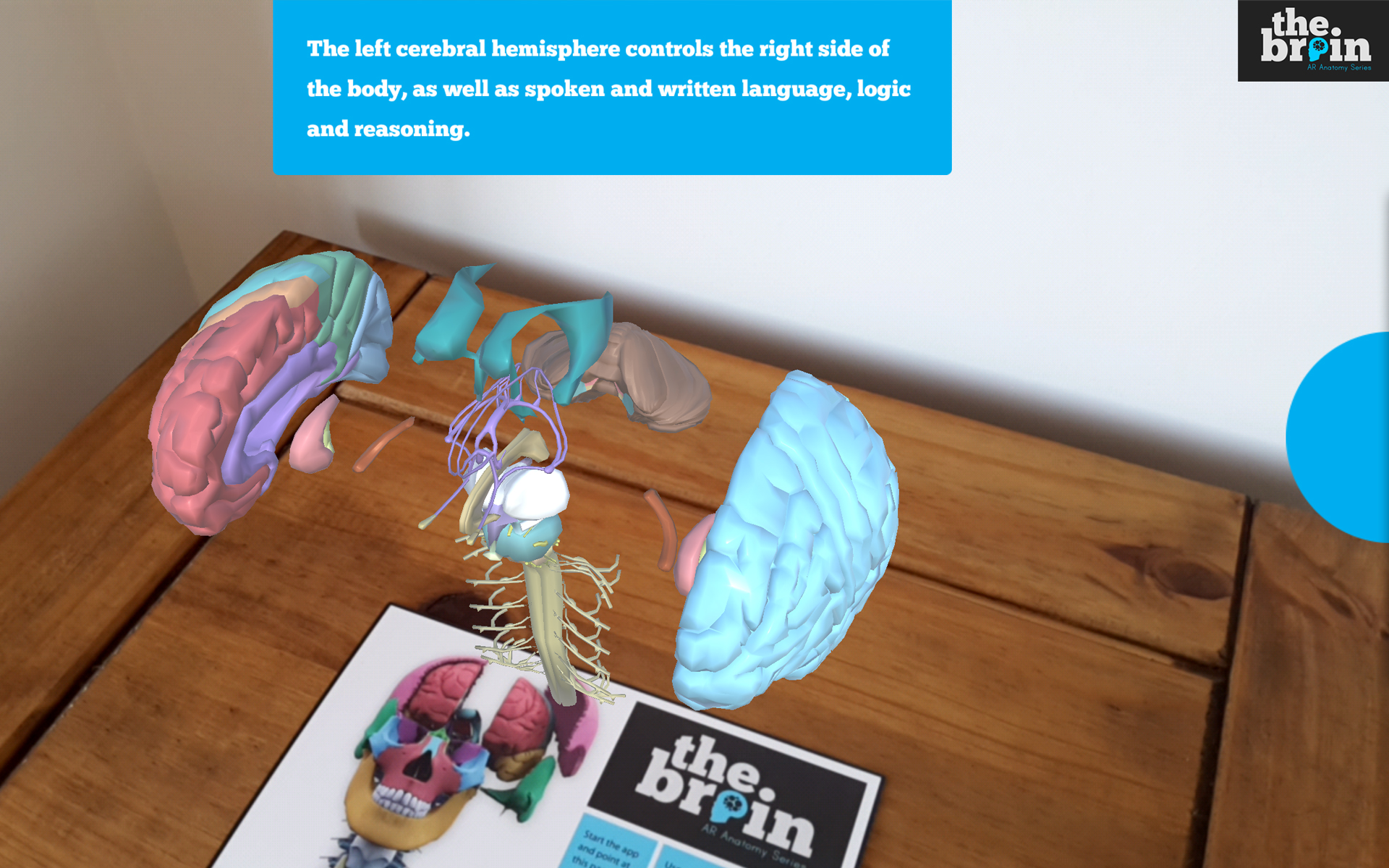The Brain AR App - App on Amazon Appstore