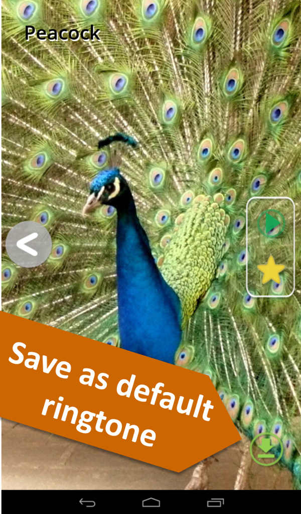 Real Zoo Animal Sounds - App on Amazon Appstore