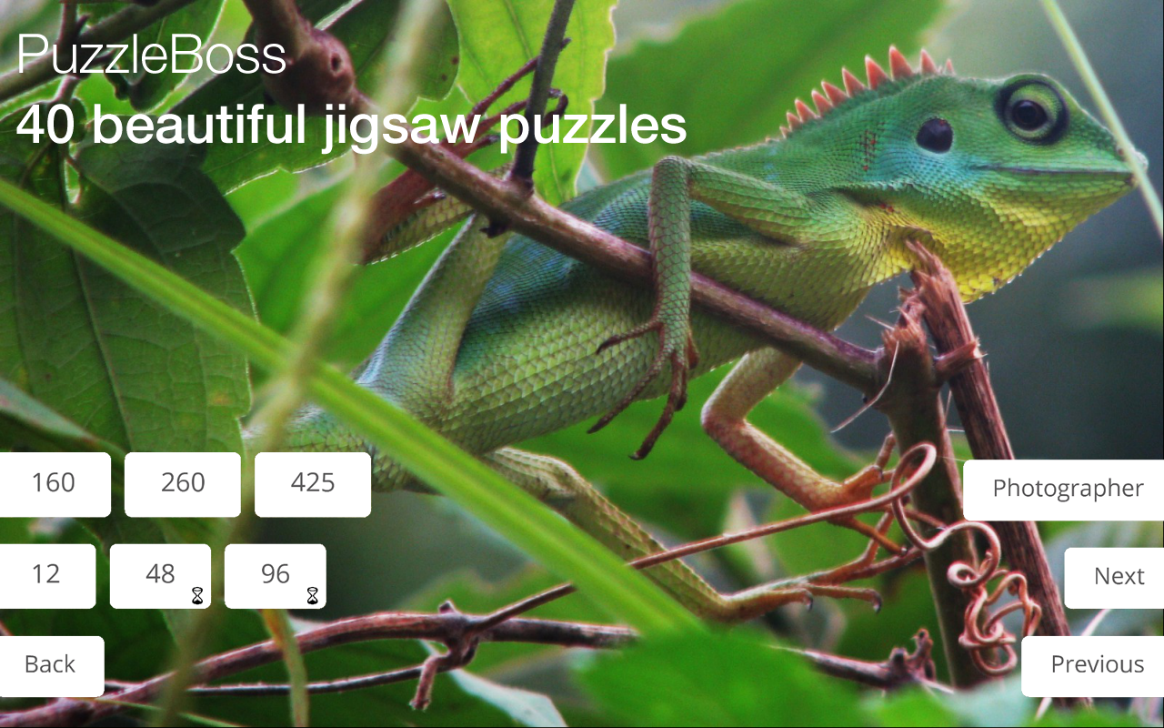 Jigsaw Puzzles: Lizards - App on Amazon Appstore