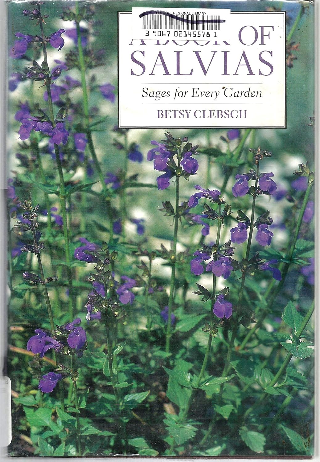 A Book of Salvias: Sages for Every Garden: Clebsch, Betsy ...