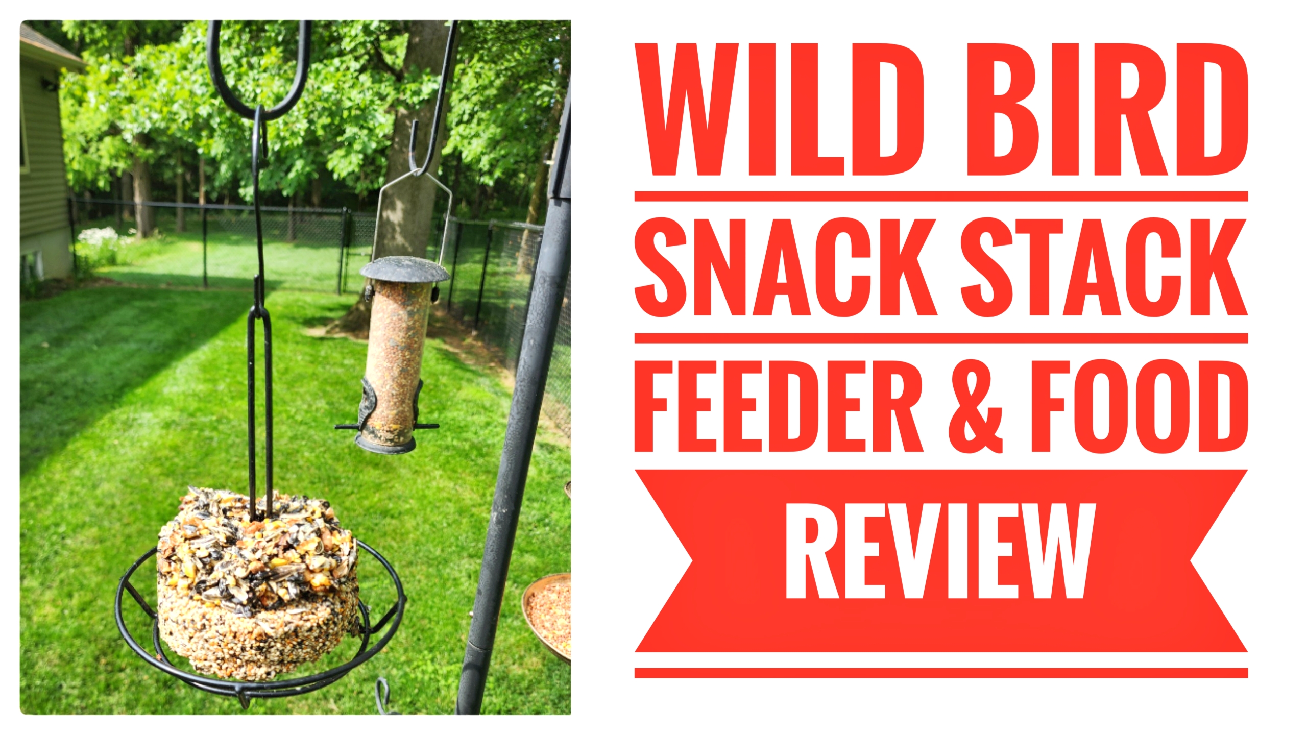 Watch Wild Bird Food Snack Stack Food and Feeder Review on Amazon Live