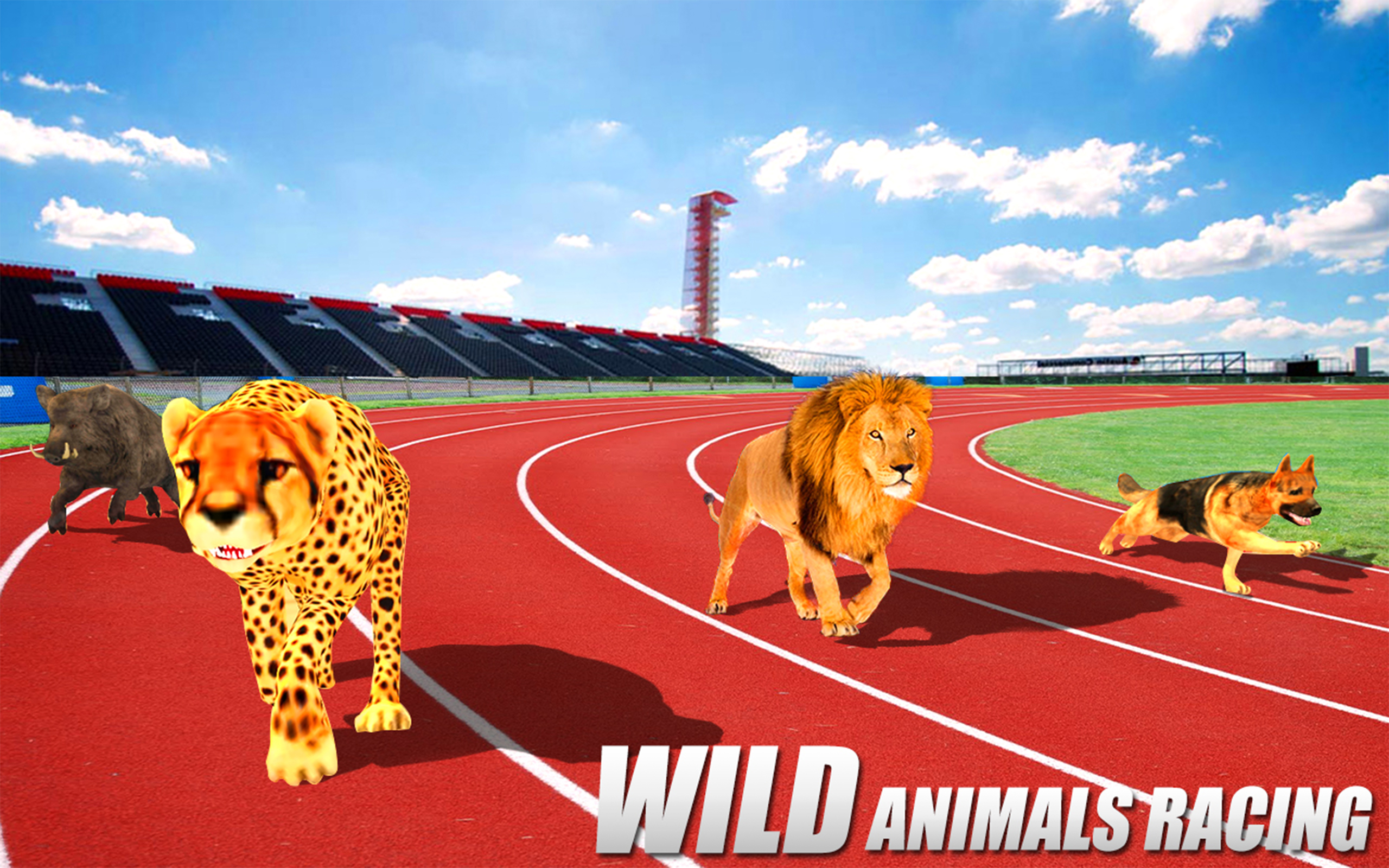 Wild Animal Simulator: Free Cheetah,Lion,Wolf racing simulator games ...