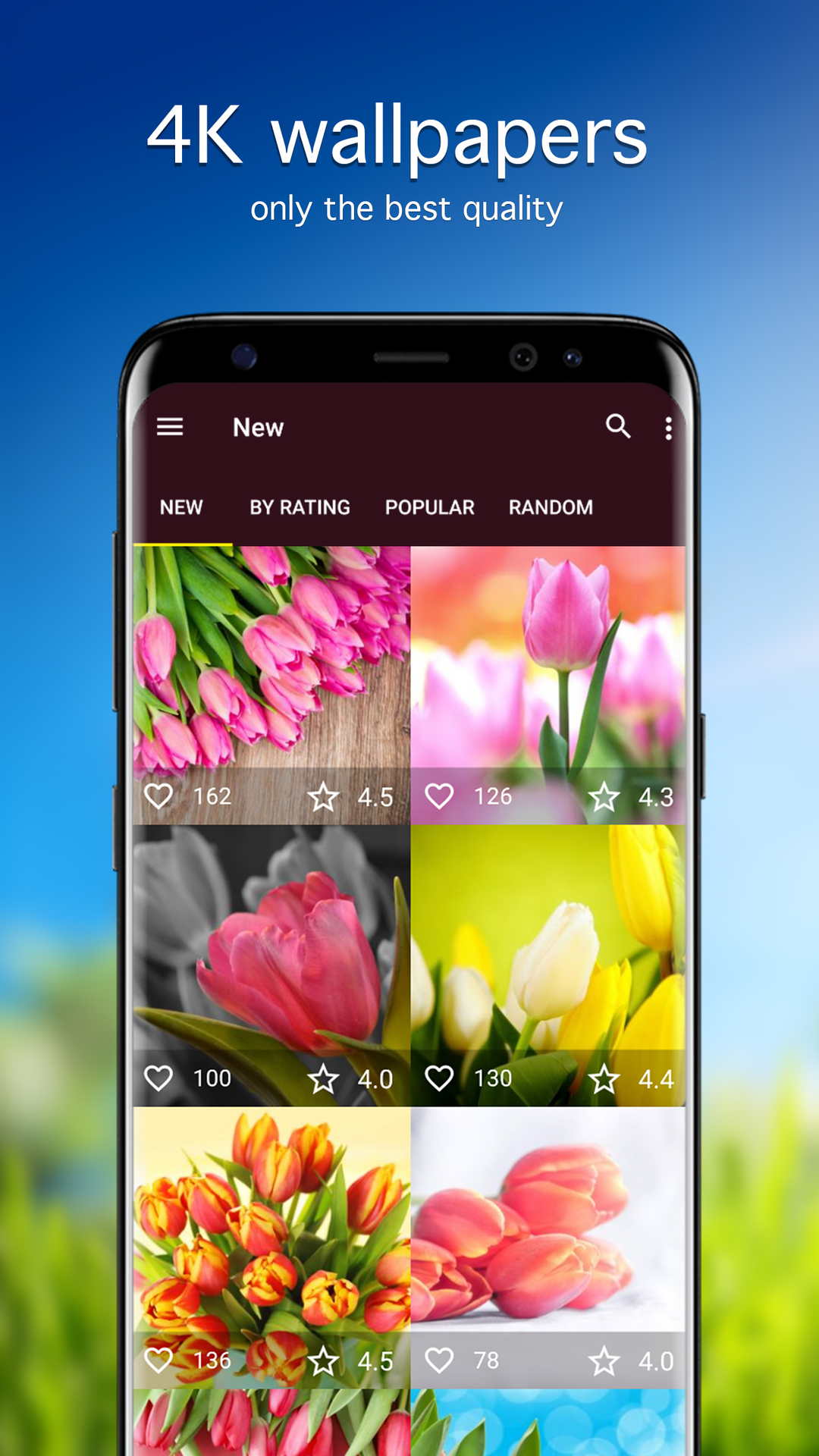 Tulip Wallpapers and Backgrounds apps 4k - App on Amazon Appstore