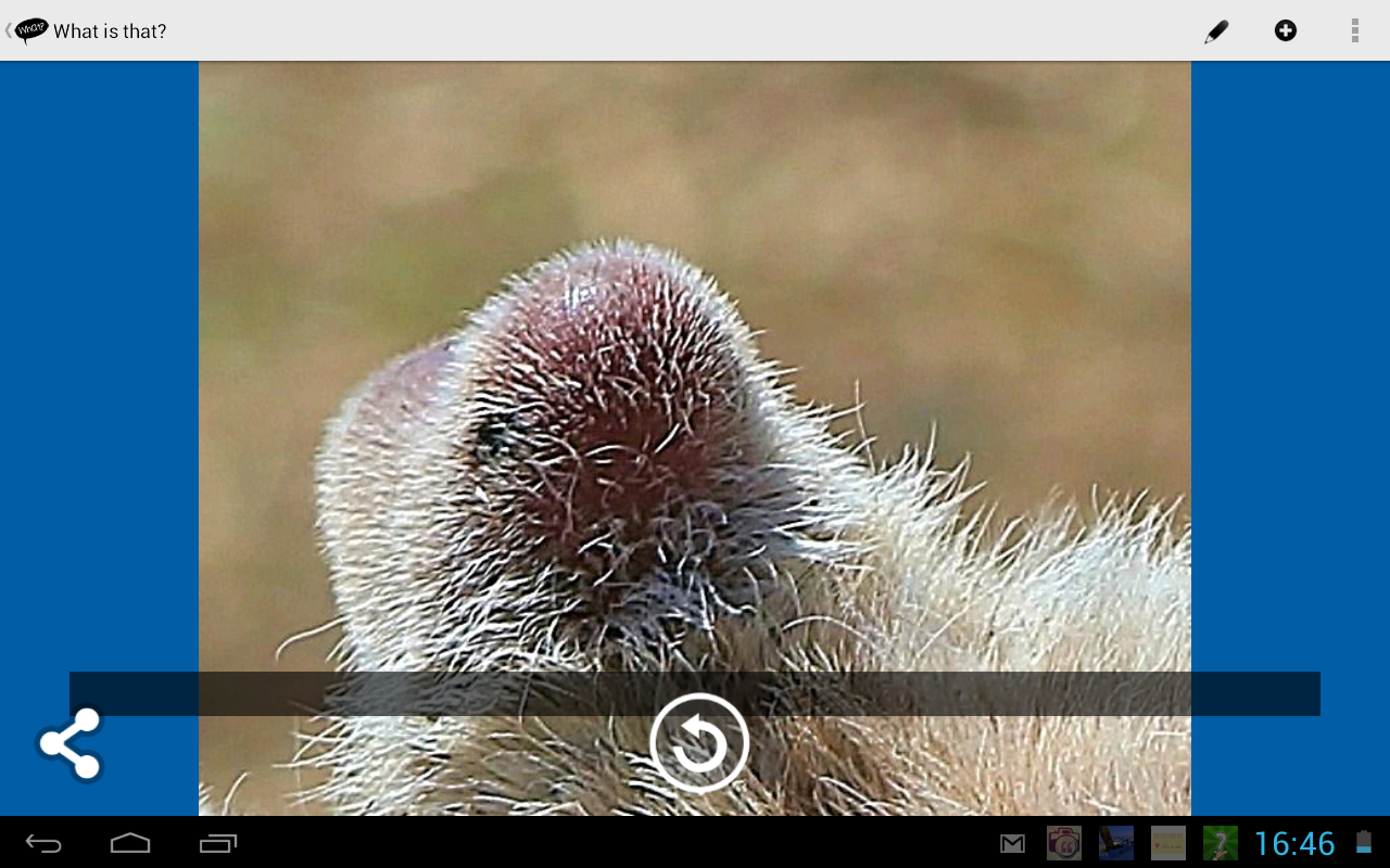 Zoomed In Game:Amazon.de:Appstore for Android