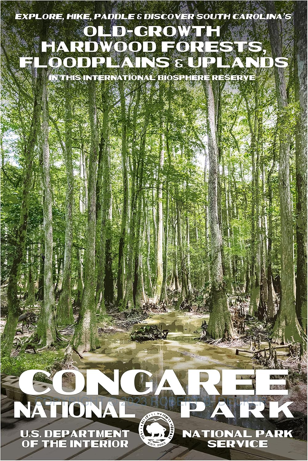 Amazon.com: National Park Posters Congaree National Park National Park ...
