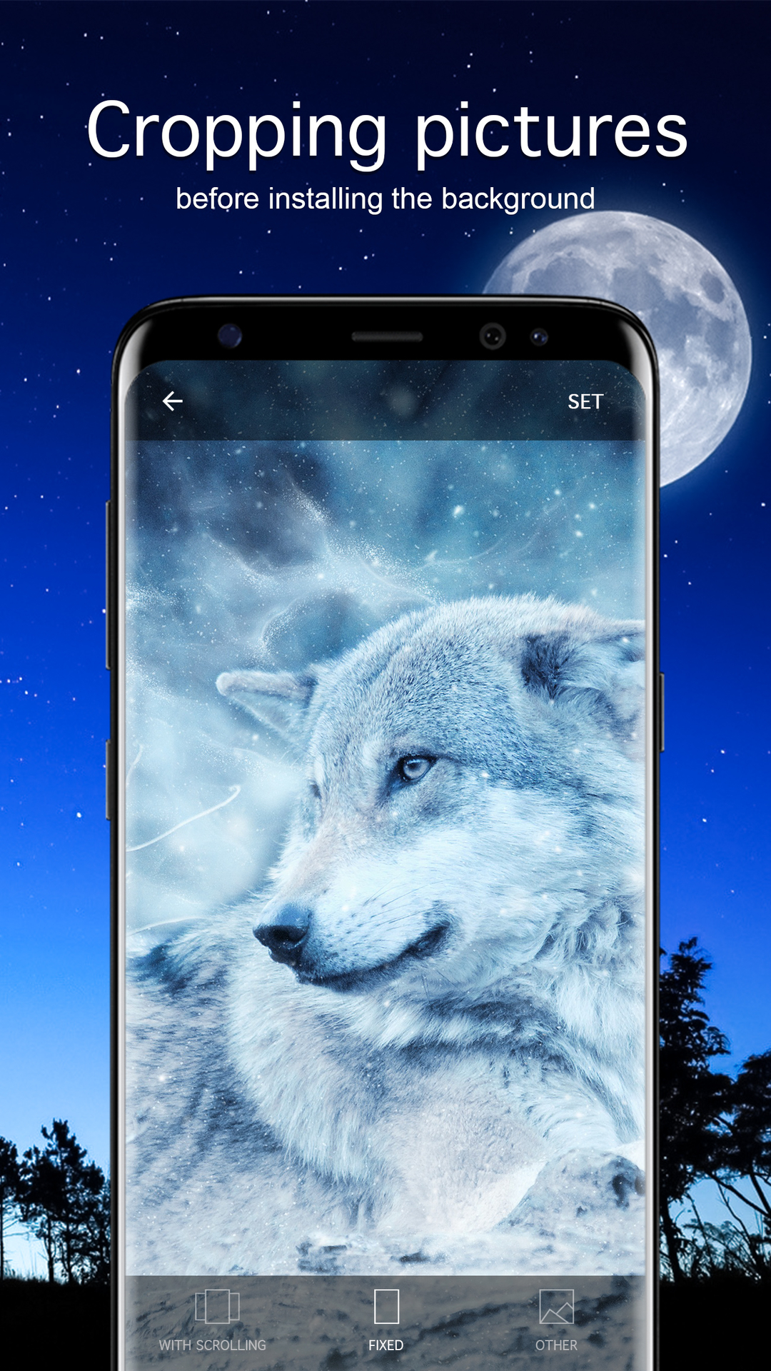 Wolf Wallpapers and Backgrounds apps 4k - App on Amazon Appstore