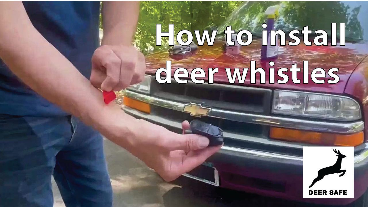 Watch How to Install Deer Whistles | A step-by-step guide on Amazon Live