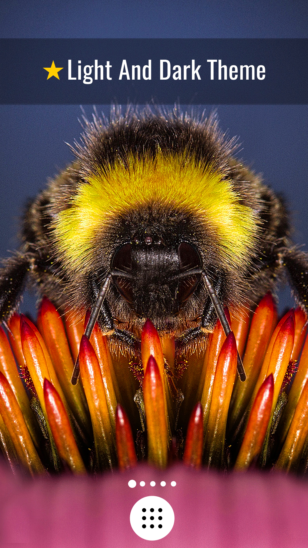 Macro Wallpapers - App on Amazon Appstore