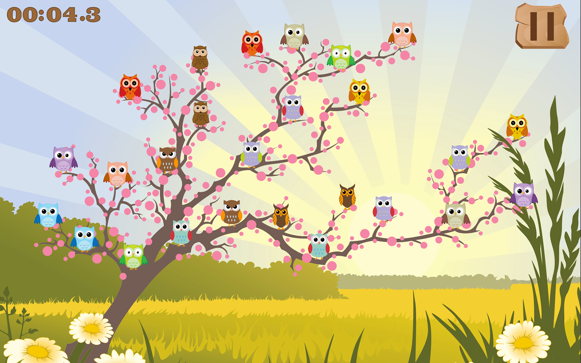 Owls - A Matching Game for Kids - App on the Amazon Appstore