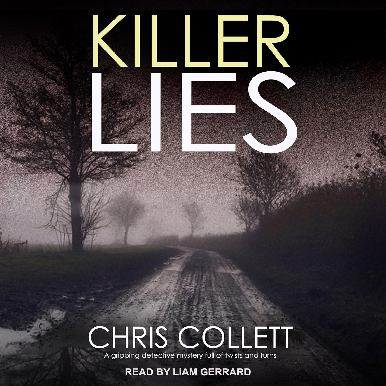 Killer Lies: DI Mariner Series, Book 3 (Audio Download): Chris Collett ...